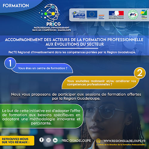 Région Guadeloupe-La collectivité régionale lance un plan de professionnalisation des acteurs de ...